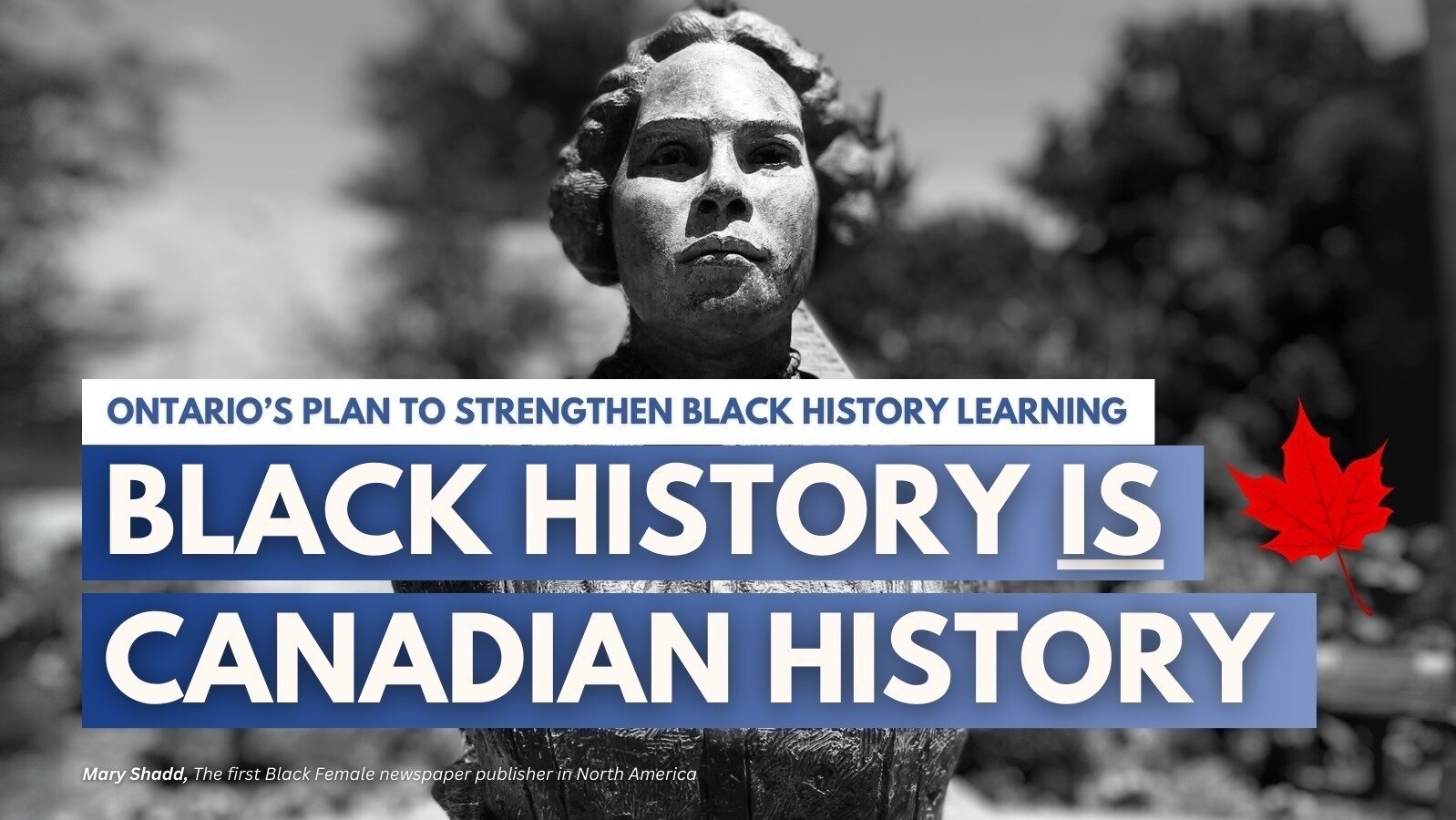 Petition · Help make Black history a course within Canada. - Canada ...