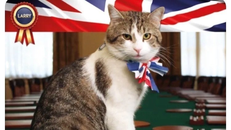 Petition · Grant Larry the “Chief Mouser”of number 10 access to a comfy ...