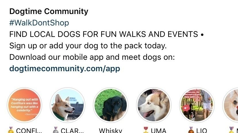 Petición · You can rent a dog for a day in Montréal? We have to stop ...