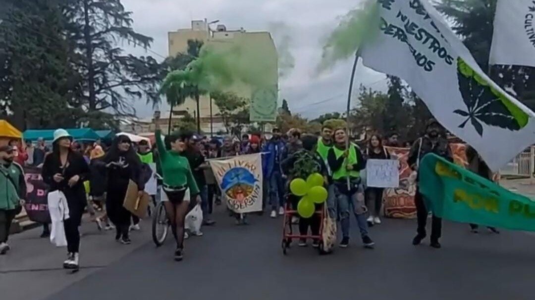 Petición · Exigimos la adhesión del modelo de autocultivo al Reprocann ...