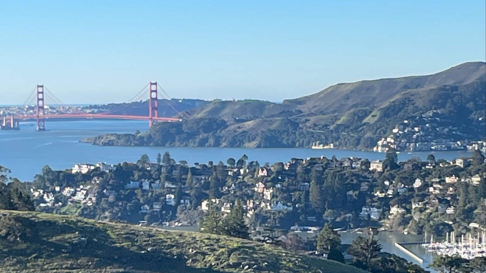 Petition · Help improve the safety in Tiburon! - Tiburon, United States ...