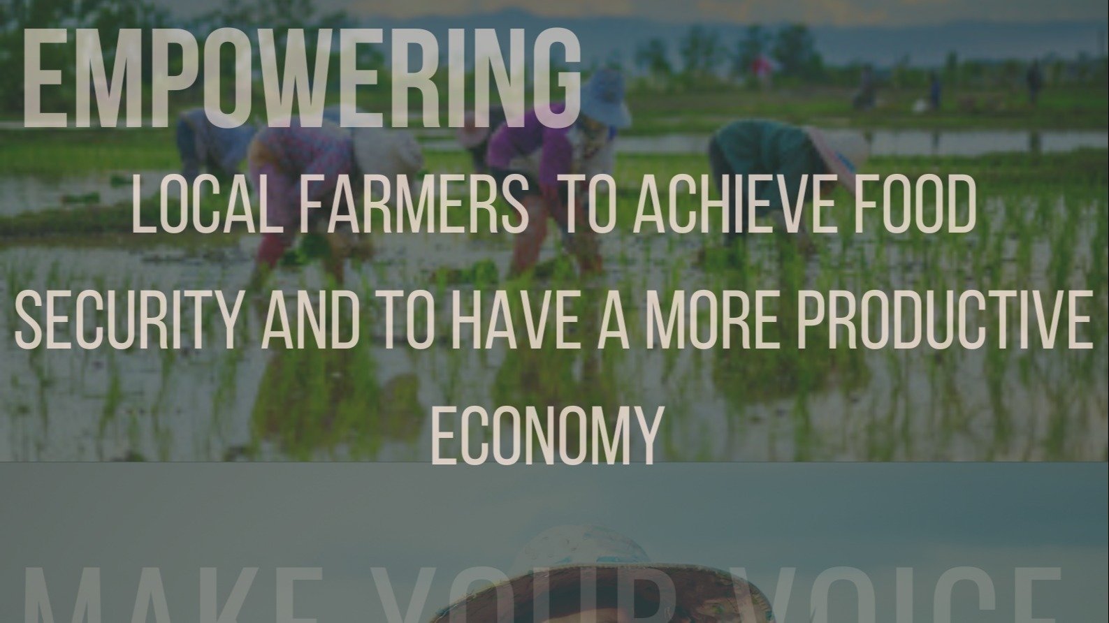 Petition · Empowering local rice farmers to achieve food security and ...