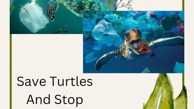 Petition · Save Turtles And Stop Using Plastic - Philippines · Change.org