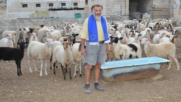 Petition · STOP the killing of the Sheep in Gozo - Malta · Change.org
