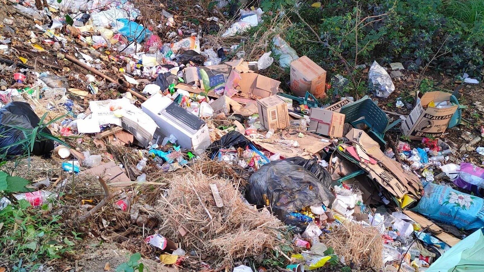 Petition · Advocate for a Waste-Free Environment in General Mariano ...