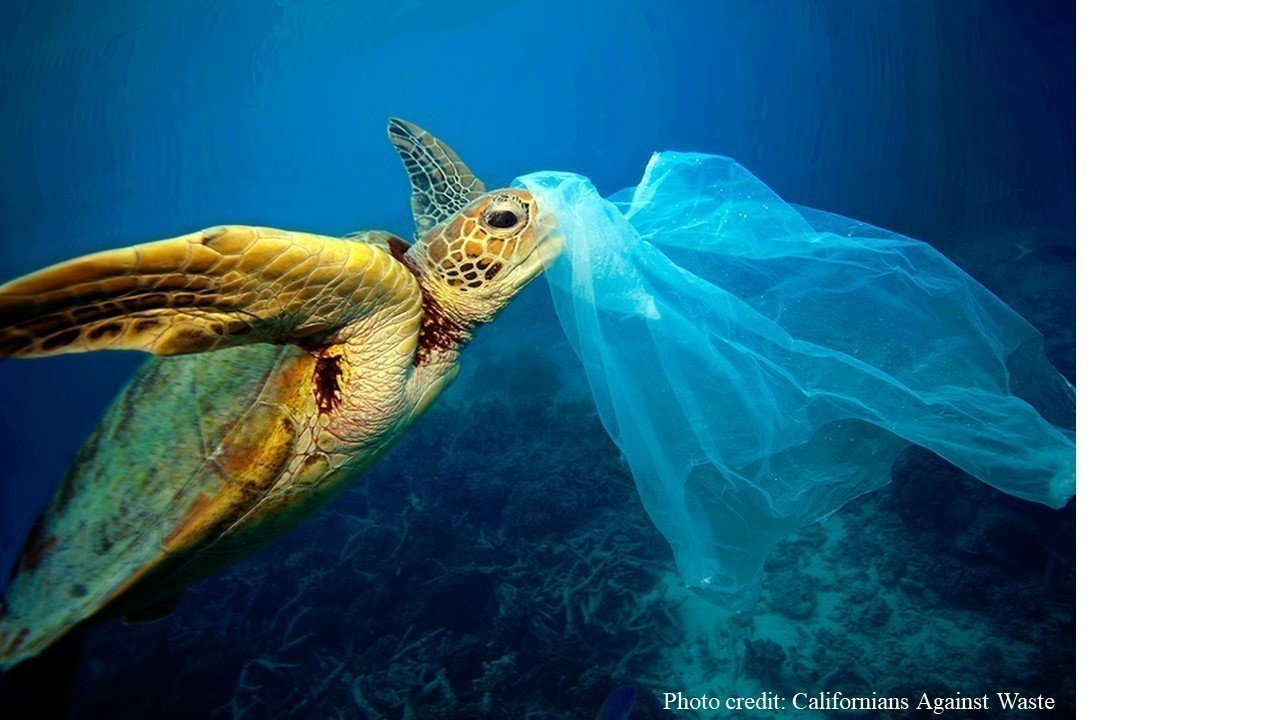 Petition · Single-Use Plastics: They Kill our Oceans - Philippines ...