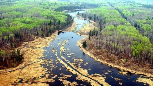 Petition · Reinstate Environmental Monitoring in Alberta, Canada ...