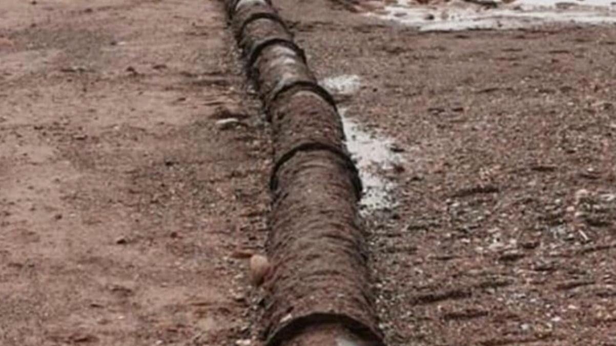 Petition · Call for the resignation of South West Water CEO Susan Davy ...