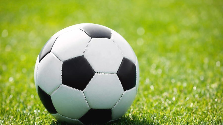 Petition · Save Merler 2022 - Canada · Change.org