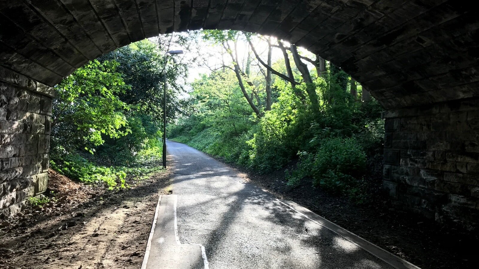 Petition · Healthcare Professionals in support of protecting the ...