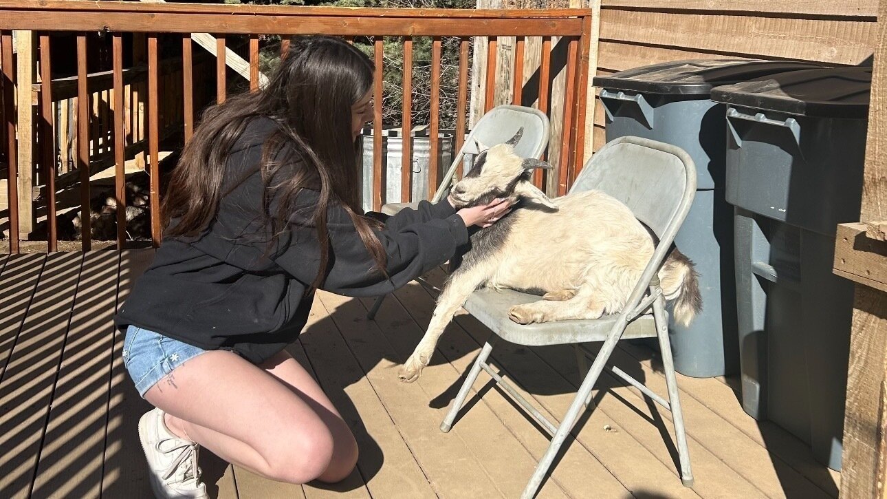 Petition · HELP ABIGAIL GET A GOAT - United States · Change.org