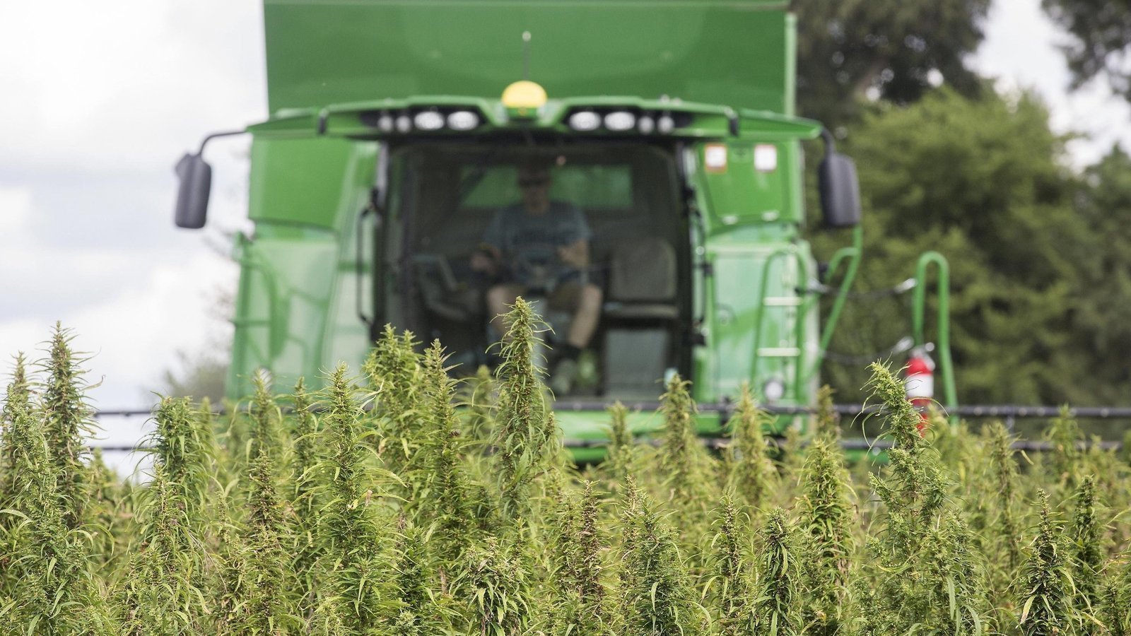 Petition · Hemp Farm Smell - United States · Change.org