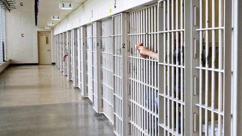 Petition · Introduce harsher penalties for violent crimes in New ...