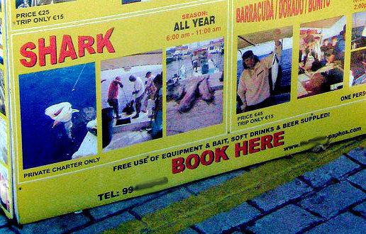 Petition · Stop Illegal Shark Fishing in Cyprus NOW! - Cyprus · Change.org