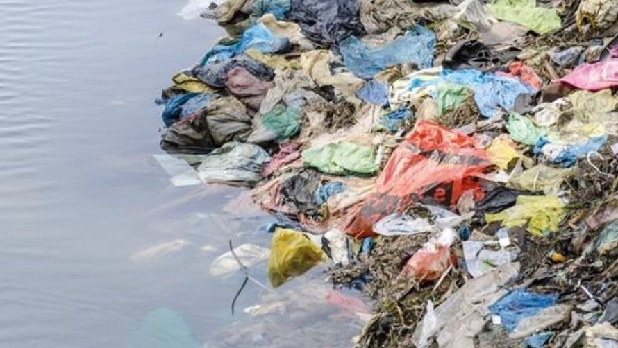 Petition · Ban plastic grocery bags: Reduce plastic waste!! - United ...