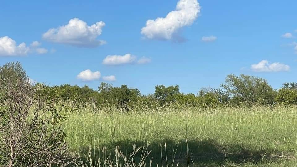 Petition · HOA Petition of Board - United States · Change.org