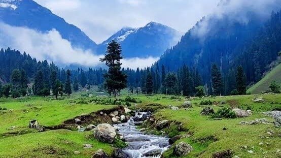 Petition · Demand a Strategic Response to the Palagham Terror Attack ...