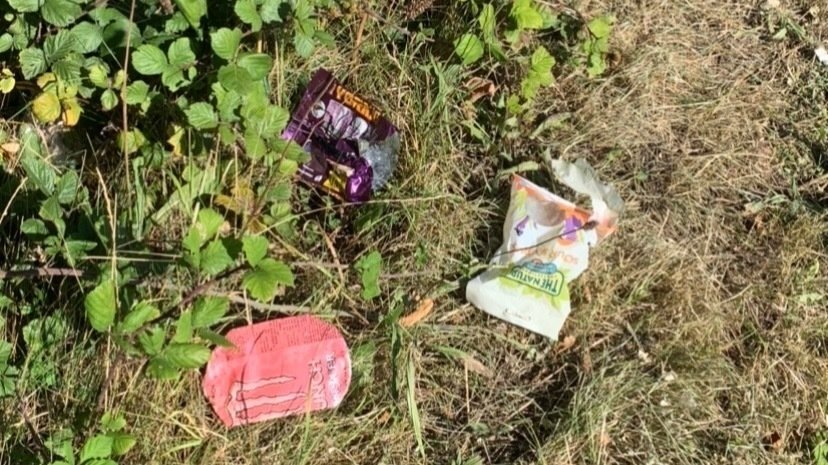 Petition · Construction of public litter bins on the Dublin Road ...