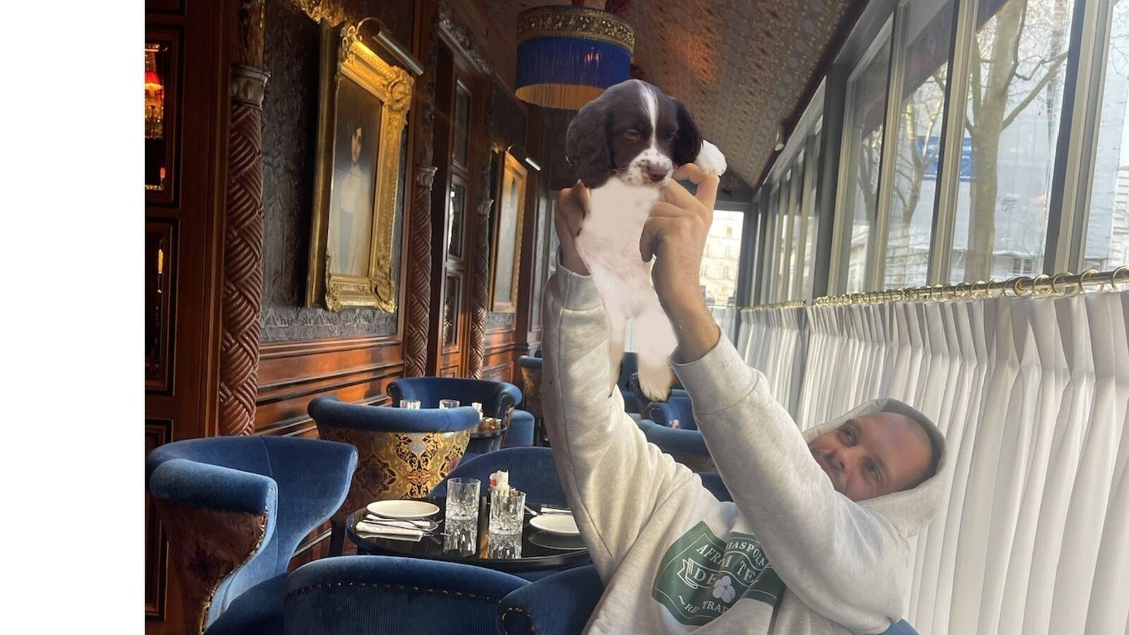 Petition · Encourage Mikael Rabus to get a puppy - Sweden · Change.org