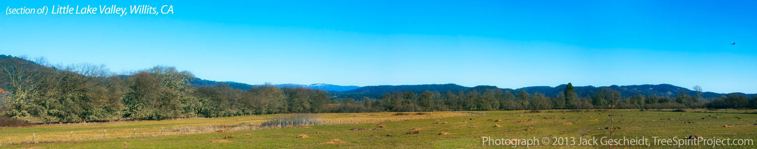 Petition · Cancel the Caltrans Willits Bypass Project - United States ...