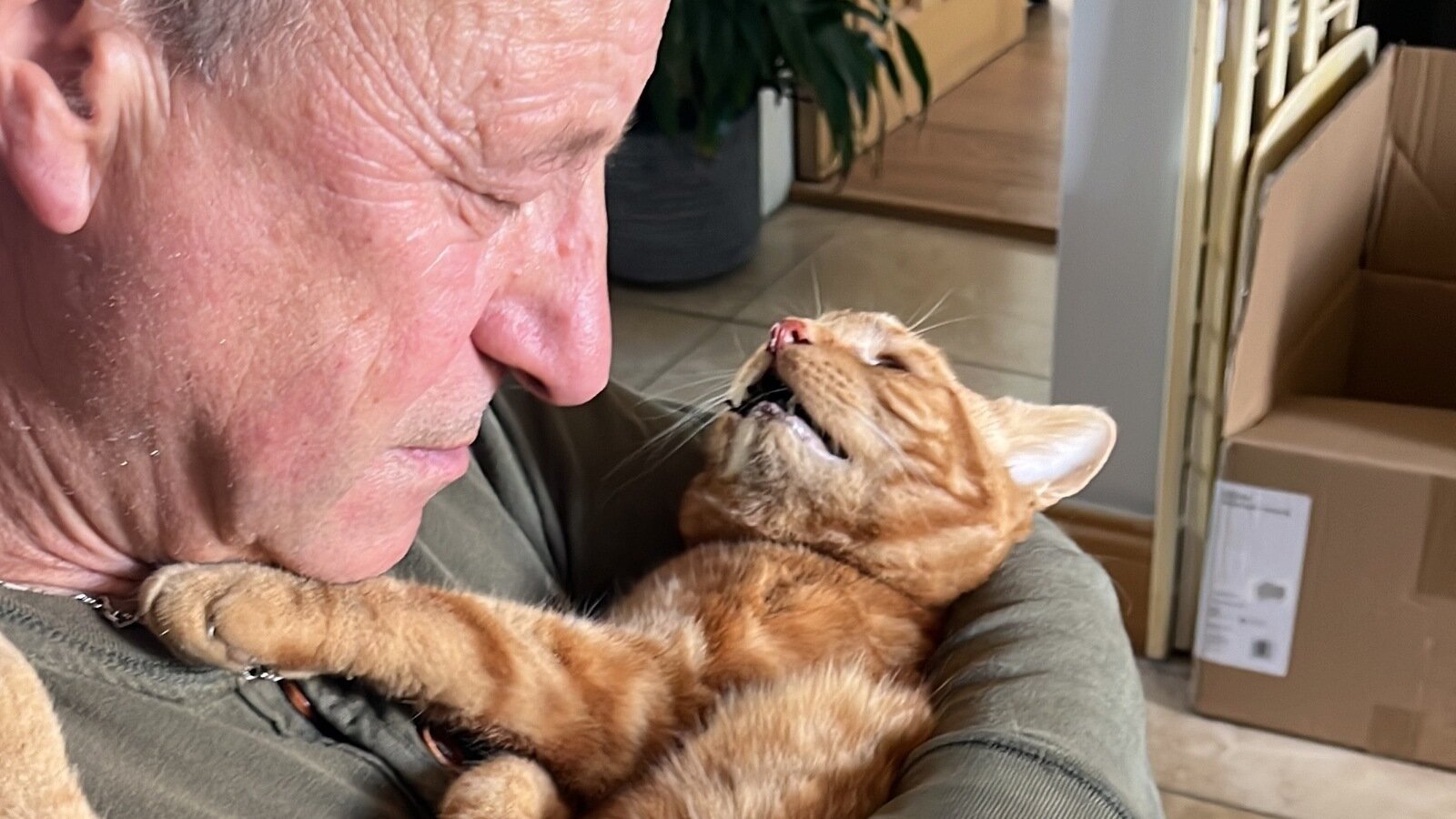 Petition · Reduce the Speed Limit on Werneth Low Road - Go Slow on the ...