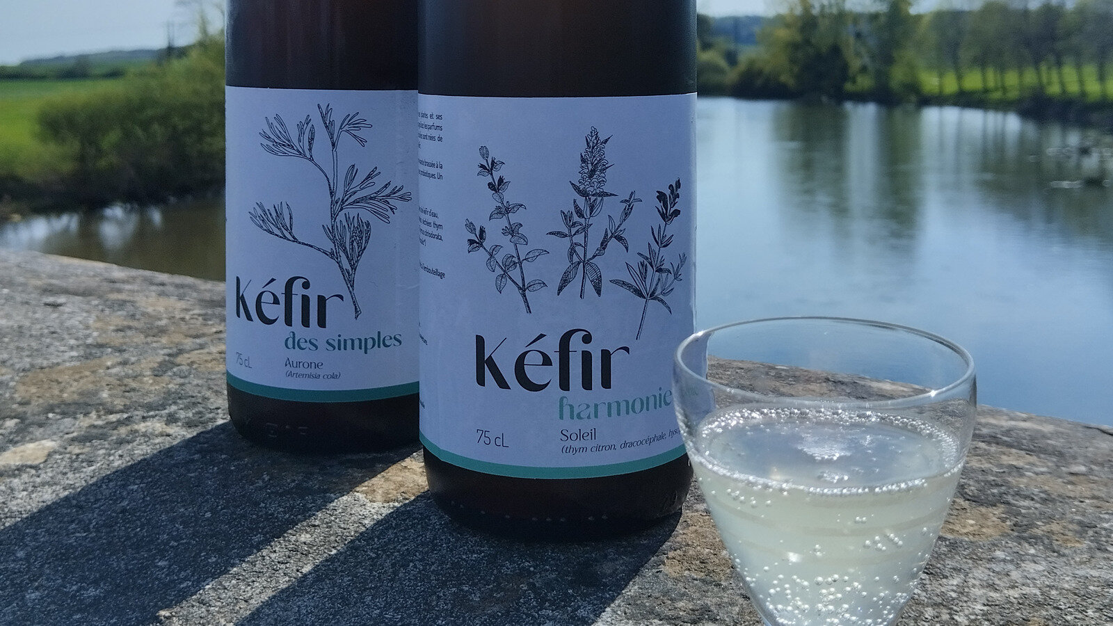 Pétition · Pour que le kéfir de fruits continue de s'appeler kéfir ...