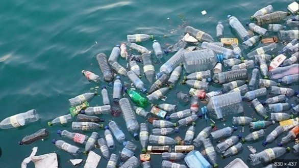 Petition · Ban plastic and save the world - how reusable bottles can ...