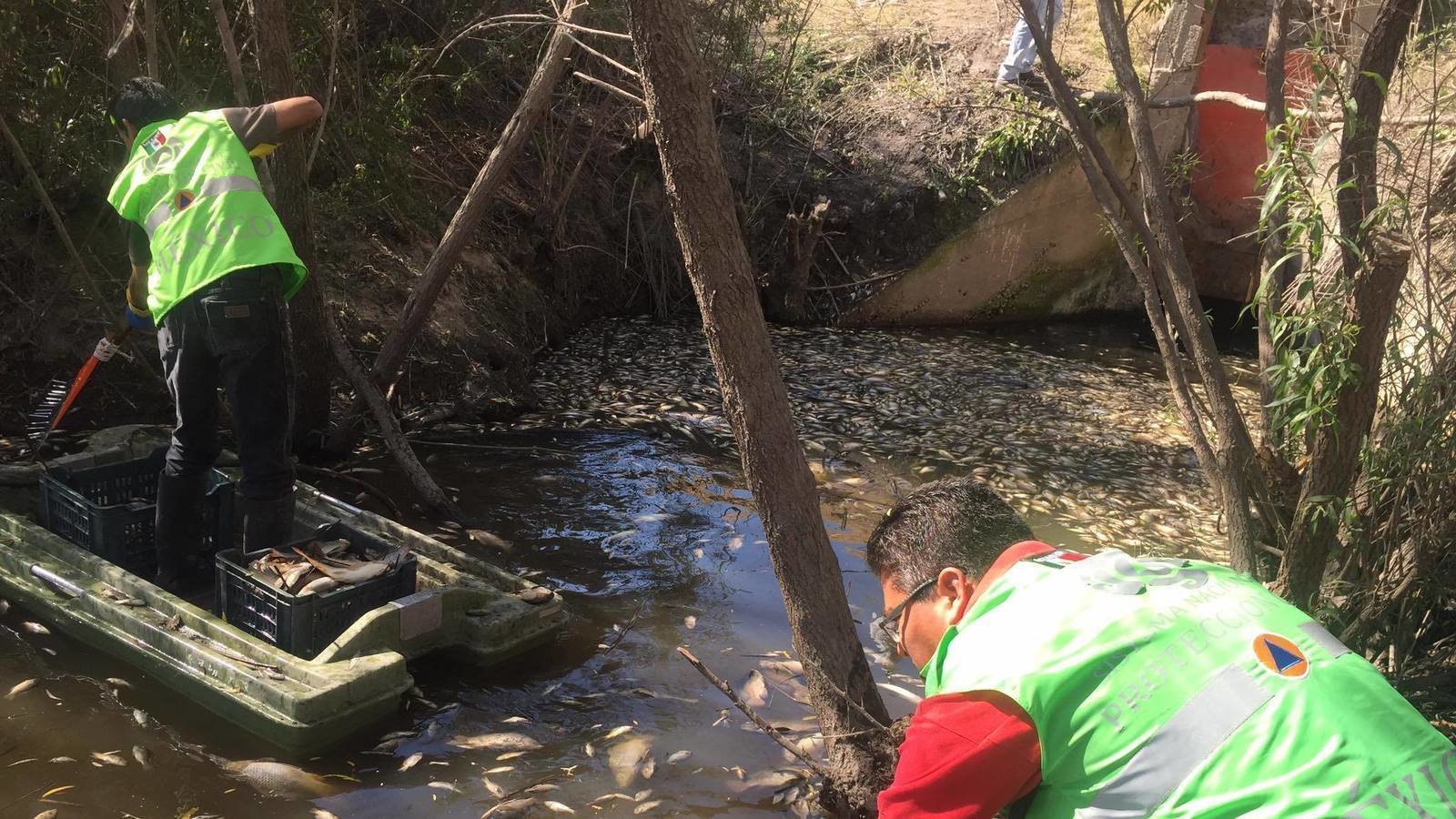 Petición · Exhortamos a las autoridades ambientales a solucionar la ...
