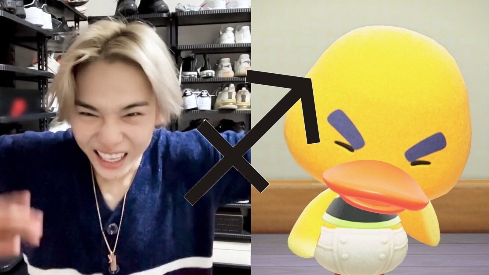 Petition · Change Joey Duck’s birthday to December 9 - United States ...