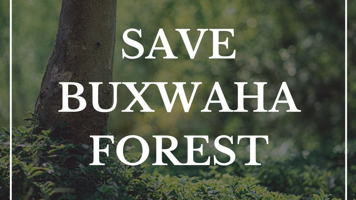 Petition · Save Buxwaha Forest - India · Change.org