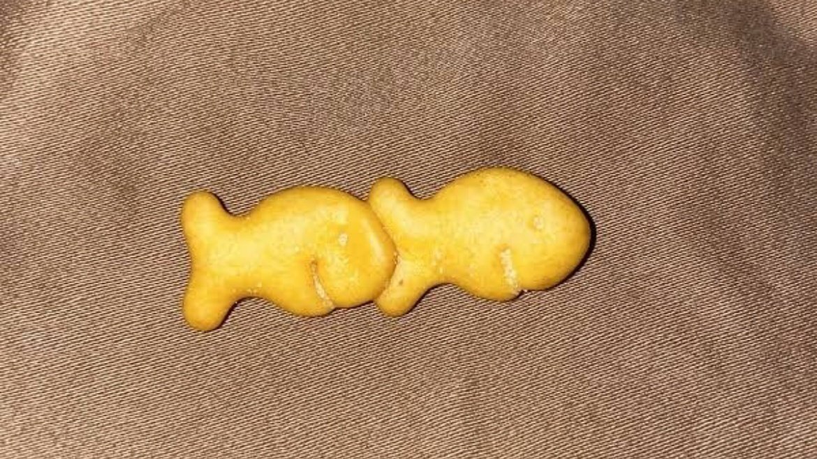 Petition · save the goldfish - United States · Change.org