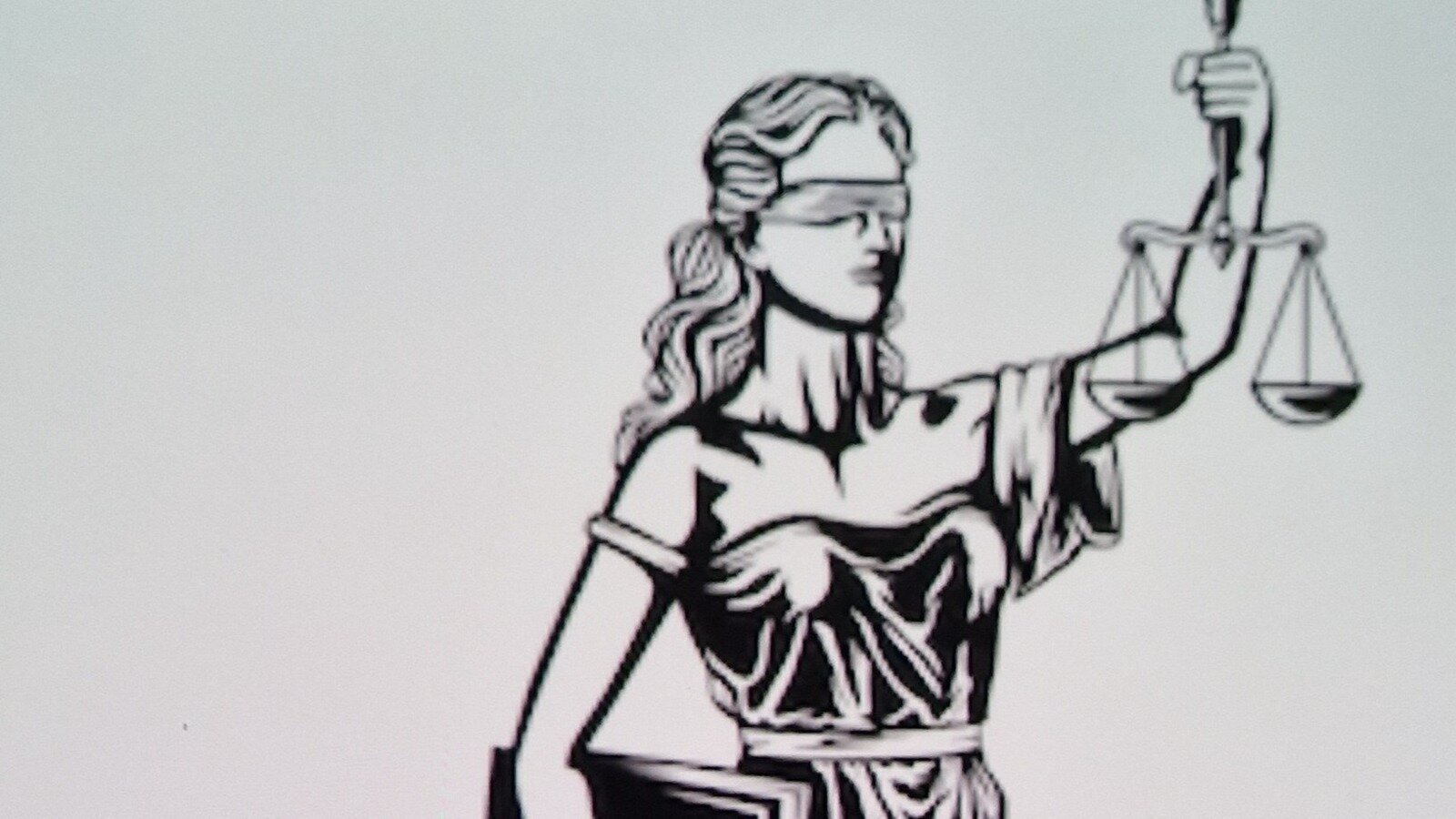 Petition · Mandate Comprehensive CCTV Coverage in All Public Spaces for ...