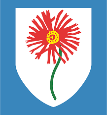 Petition · Blue Bulls - Why ditch the iconic Baberton Daisy! - United ...