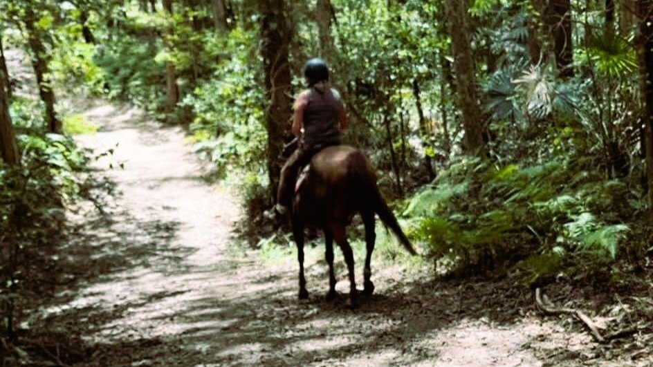 Petition · Remove Aggressive Handraised Emu from Parklands Conservation ...