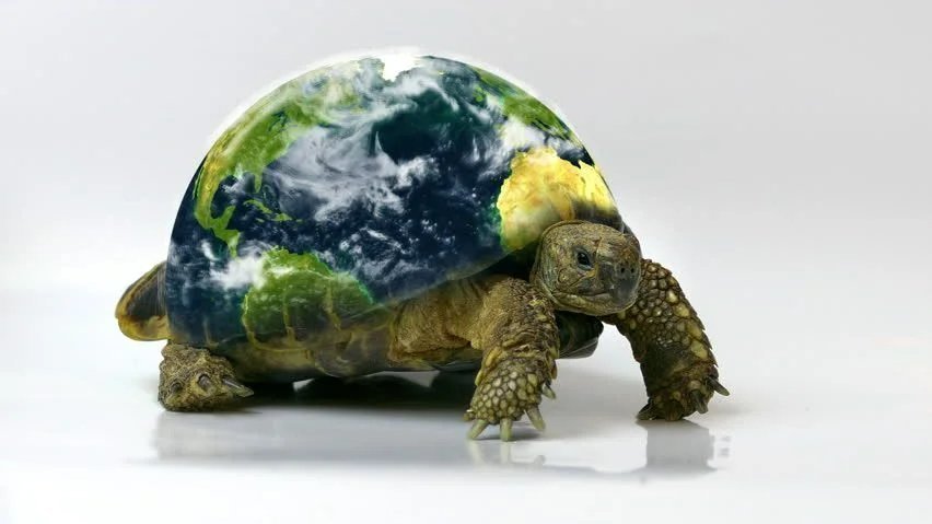 Petition · The Earth is a Turtle - United States · Change.org