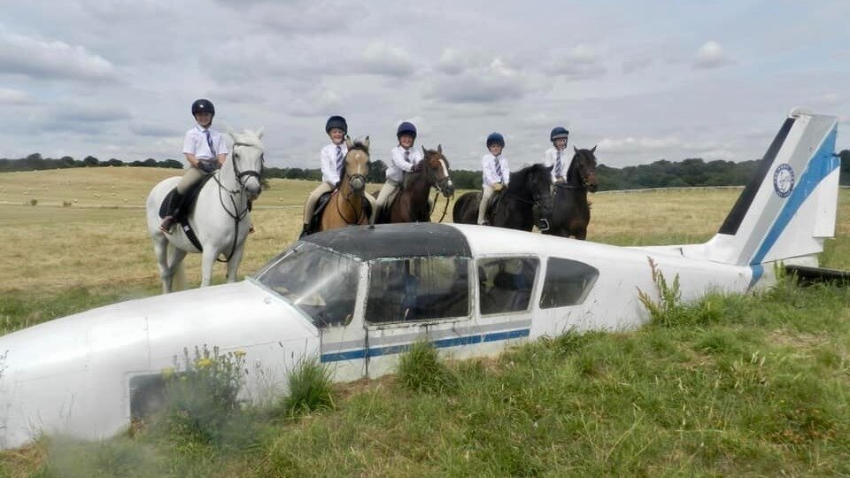 Petition · Save affordable Equestrian facilities. 90 horses evicted by ...