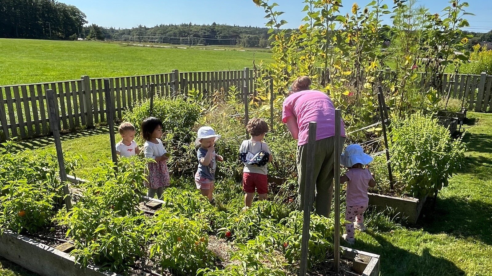 Petition · Stop USNH’s Request for Proposals for the Management of the ...