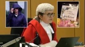 Petition · Challenge Gender Bias in the Judicial System and Review of ...