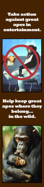Petition · Please sign the “No Great Apes in Entertainment” Pledge ...
