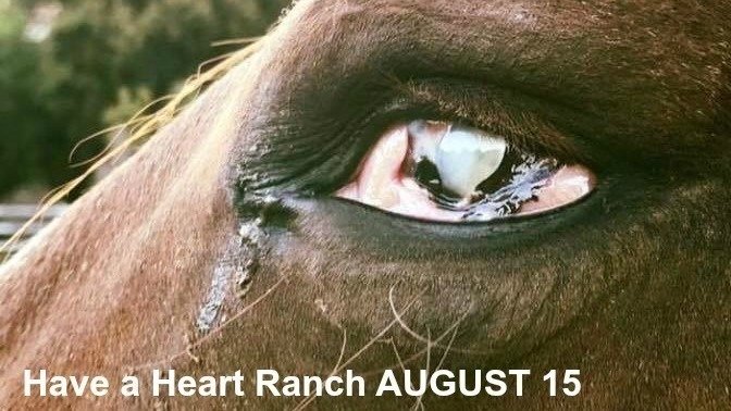 Petition · STOP the neglect of dying animals at Have a Heart Ranch ...