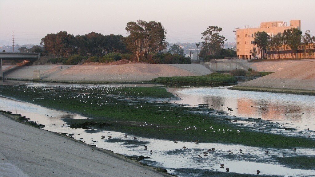 Petition · Save Bird Island - Stop the Unsafe Bridge Over Centinela ...