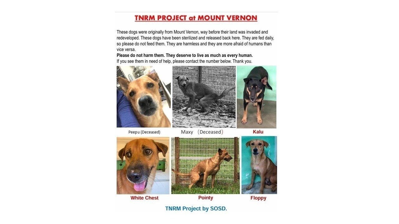 Petition · Let the Bidadari Dogs Continue to Live - Singapore ...