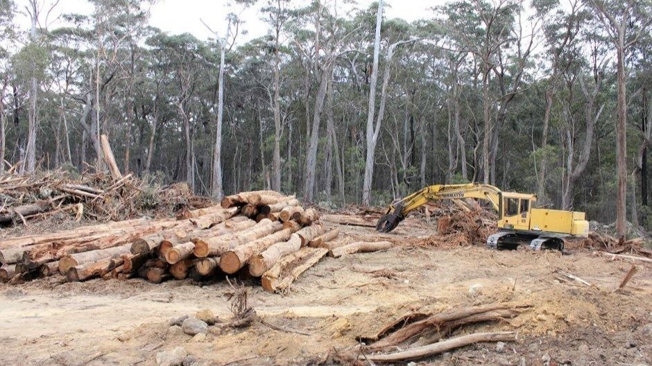 Petition · Stop pollution from mining and logging to reduce climate ...