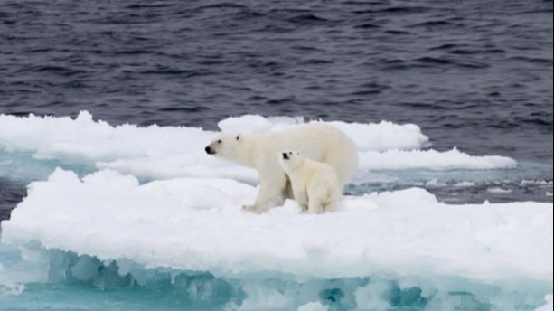 Petition · End climate change once and for all - United States · Change.org