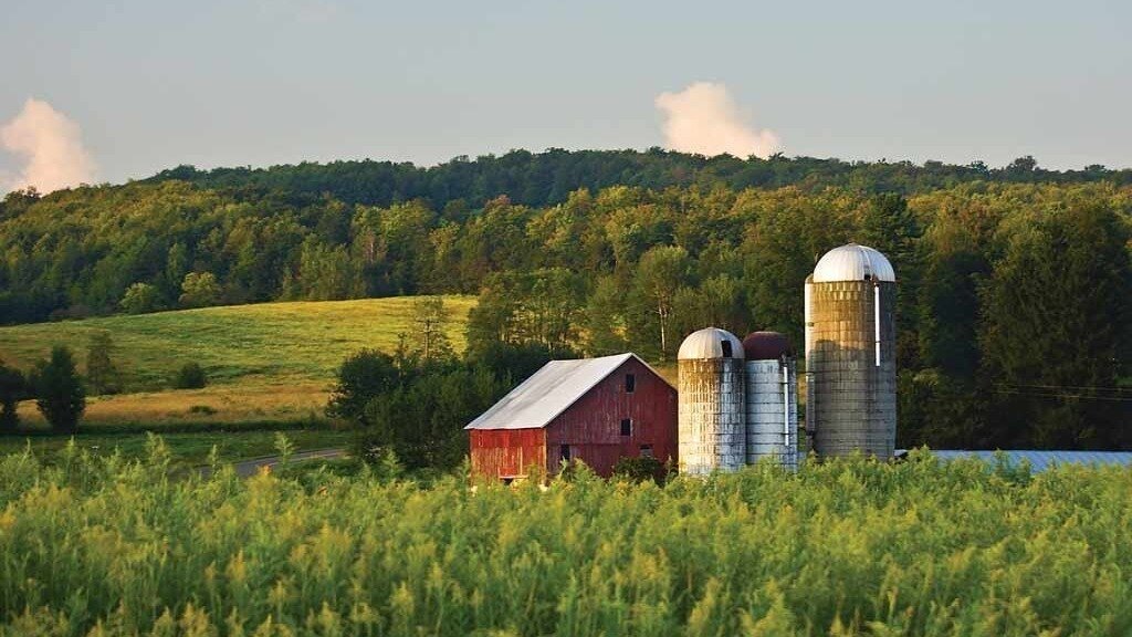 Petition · Town of Bethel, NY Development Moratorium - Bethel, United ...