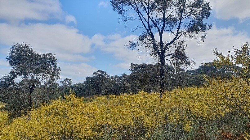 Petition · Opposition to development on 40-80 Fletcher St, Quarry Hill ...