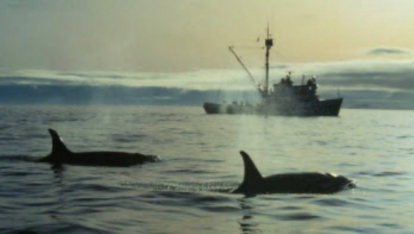 Petition · The willow project needs to be stoped! - United States ...