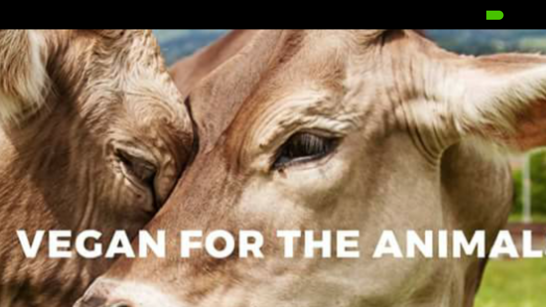 Petition · SAVE ANIMAL SAVE WILDLIFE...NO TO ANIMAL SLAUGHTERING ...