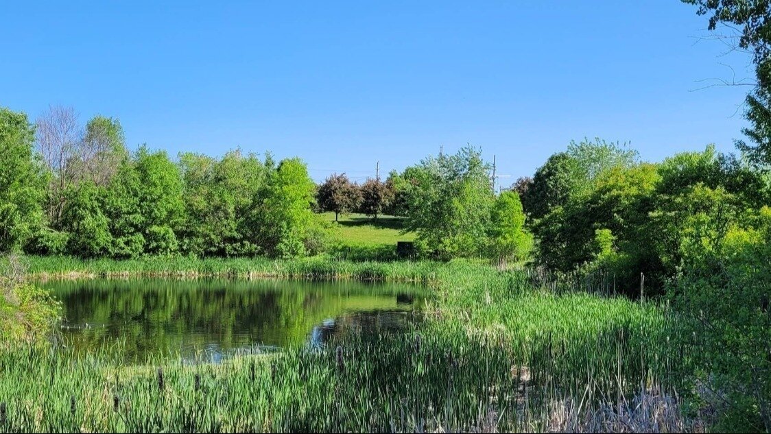 Petition · Preserve Our Beloved Centrepointe Park! - Ottawa, Canada ...