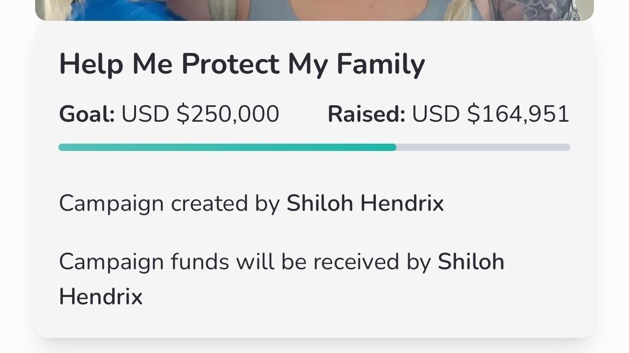 Petition · Stop Racist Fundraising: End Collection for Shiloh Hendrix ...